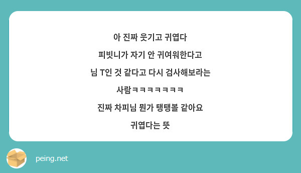 아 진짜 웃기고 귀엽다 피빗니가 자기 안 귀여워한다고 님 T인 것 같다고 다시 검사해보라는 Peing 質問箱